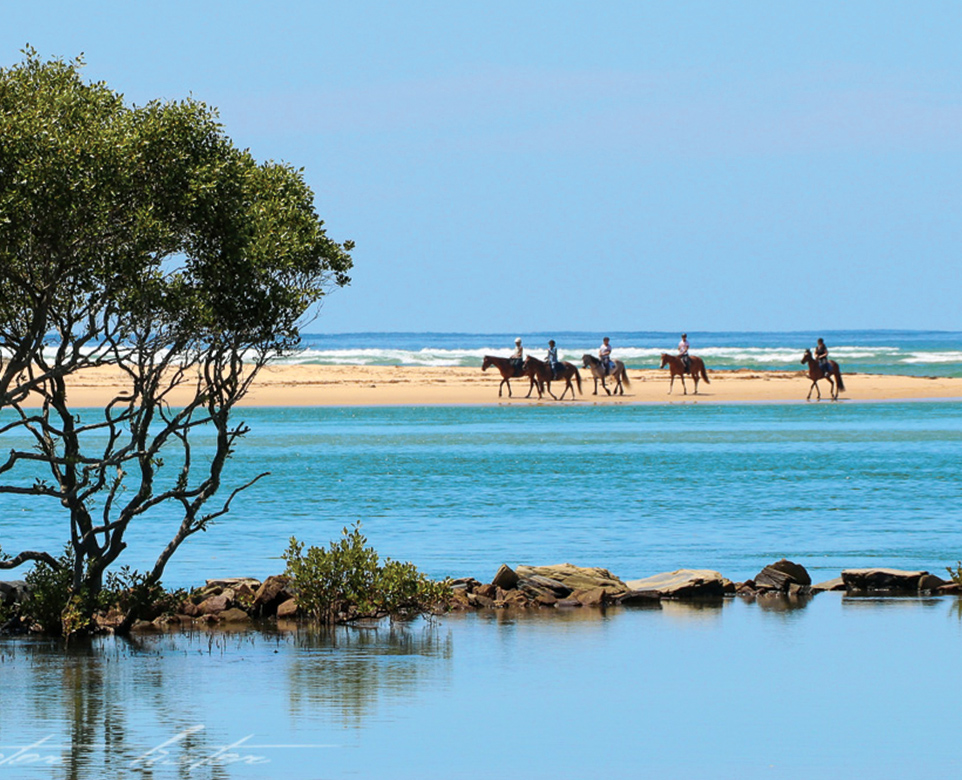 Things to do - Black Wattle Estate